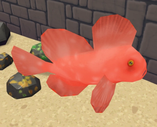 Red Velvetfish | Megaquarium Wiki | Fandom