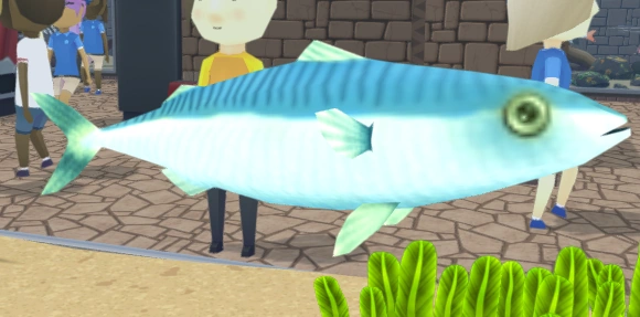 Blue Mackerel | Megaquarium Wiki | Fandom