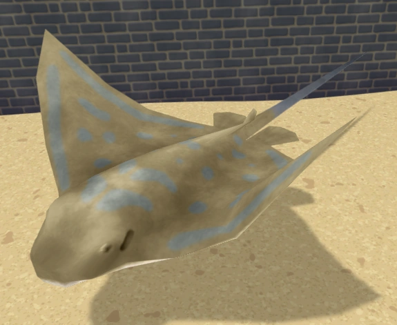 Southern Eagle Ray | Megaquarium Wiki | Fandom