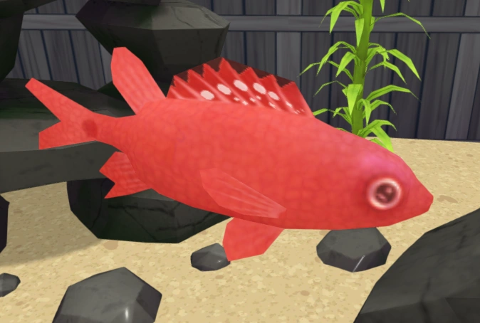 Blue-Striped Squirrelfish | Megaquarium Wiki | Fandom