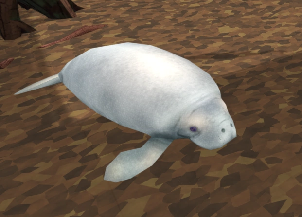 American Manatee | Megaquarium Wiki | Fandom