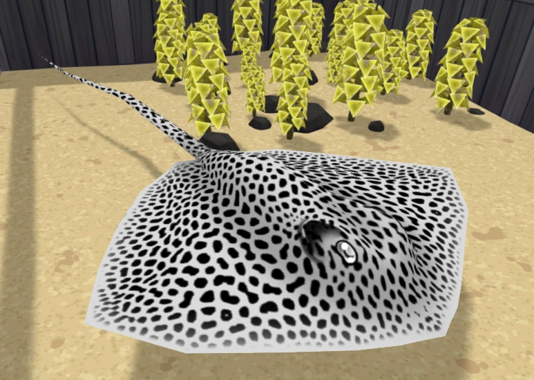 Reticulate Whipray | Megaquarium Wiki | Fandom