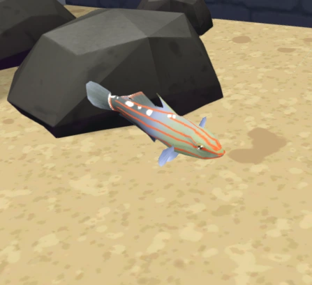 Rainford's Goby | Megaquarium Wiki | Fandom