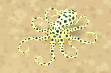 Greater Blue Ringed Octopus Drawing