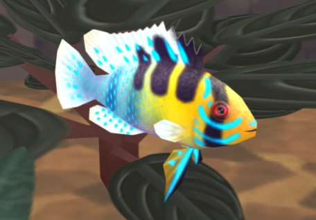 Butterfly Ram | Megaquarium Wiki | Fandom