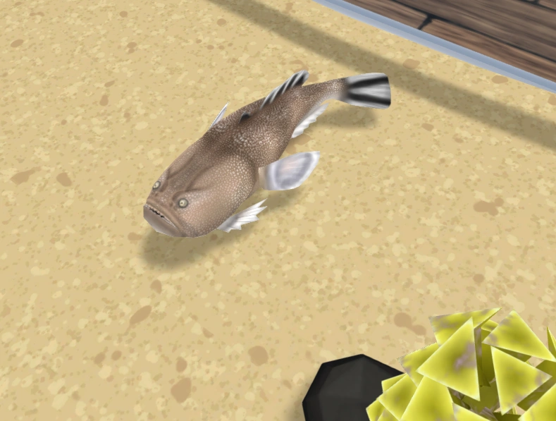 Northern Stargazer | Megaquarium Wiki | Fandom