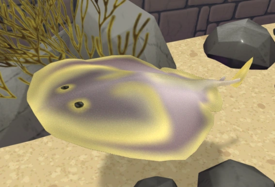 One Fin Electric Ray | Megaquarium Wiki | Fandom