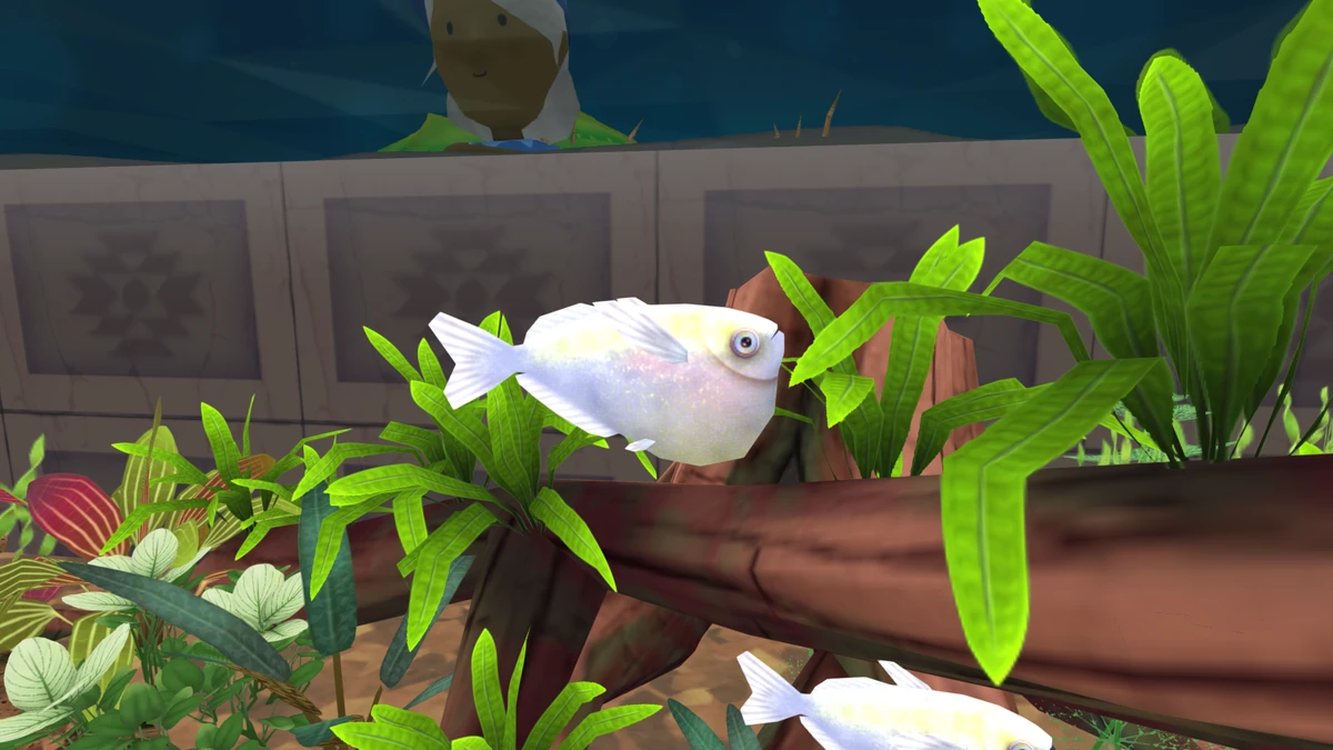 Giant Hatchetfish | Megaquarium Wiki | Fandom
