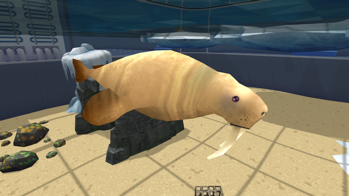 Pacific Walrus | Megaquarium Wiki | Fandom