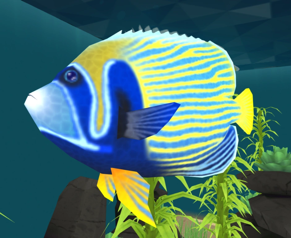 Emperor Angelfish | Megaquarium Wiki | Fandom