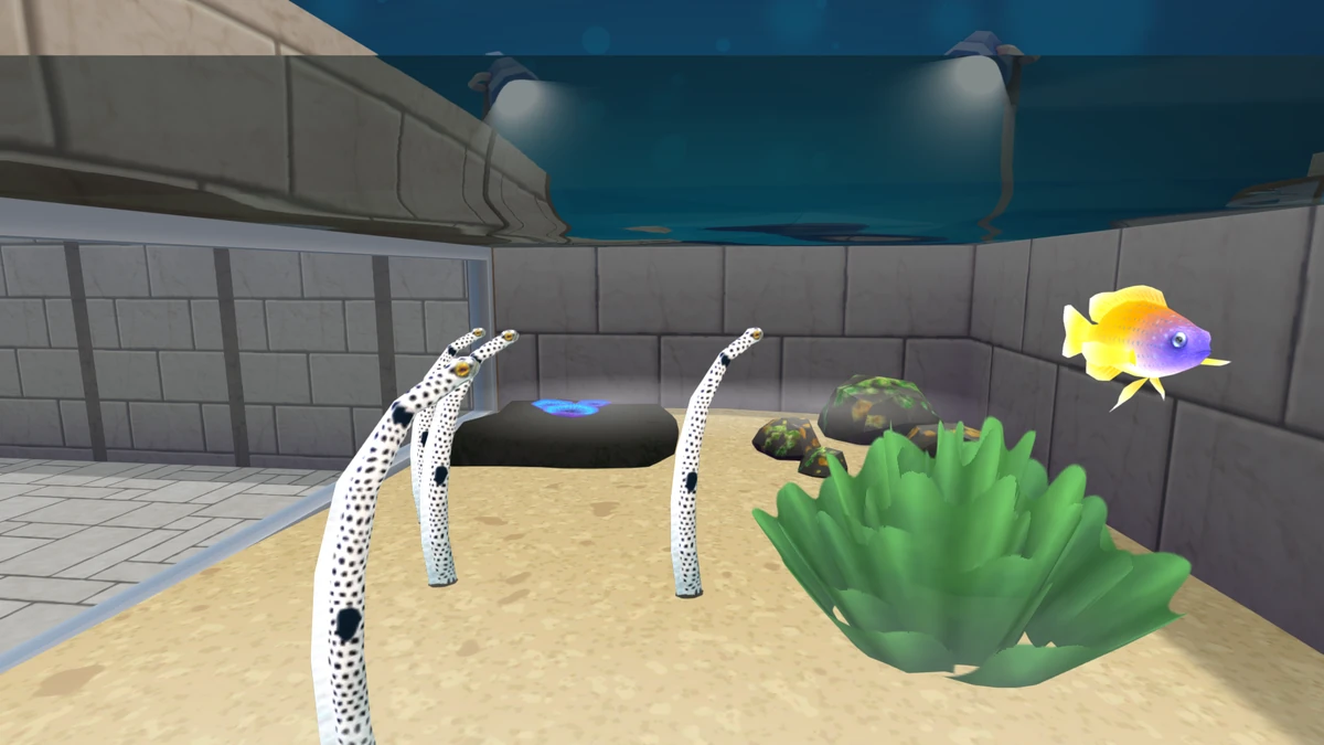 Garden Eel | Megaquarium Wiki | Fandom