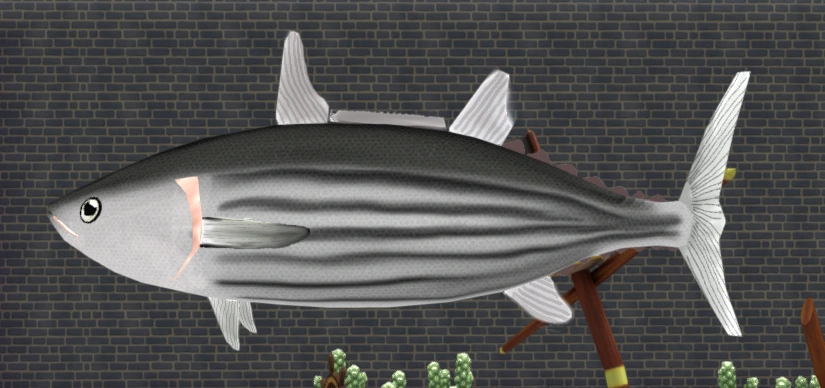 Skipjack Tuna | Megaquarium Wiki | Fandom