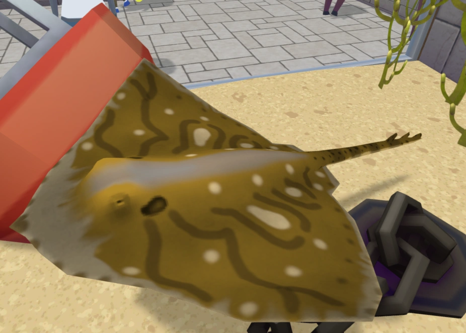 Undulate Skate | Megaquarium Wiki | Fandom