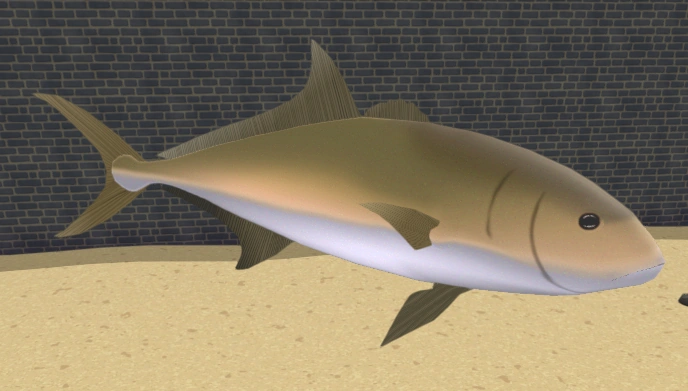 Greater Amberjack | Megaquarium Wiki | Fandom