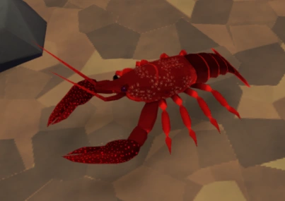 Fireback Crayfish | Megaquarium Wiki | Fandom