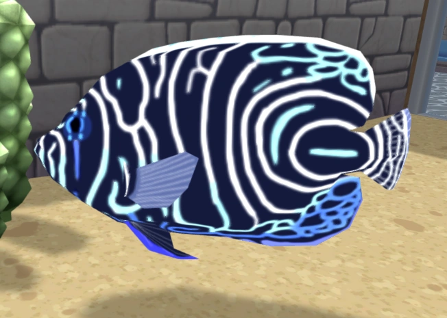 Emperor Angelfish Juvenile | Megaquarium Wiki | Fandom