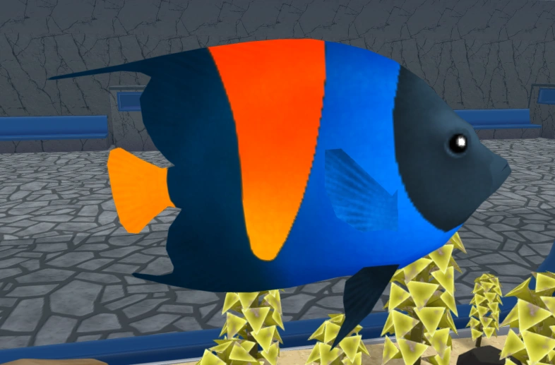 Asfur Angelfish | Megaquarium Wiki | Fandom