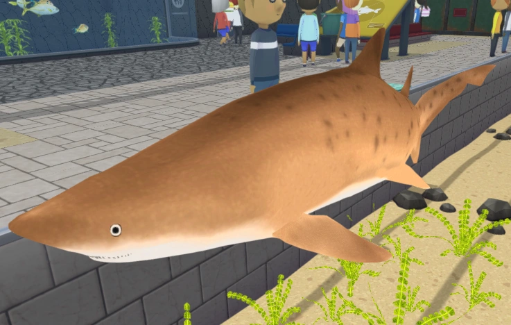 Sand Tiger Shark (Khaydar) | Megaquarium Wiki | Fandom