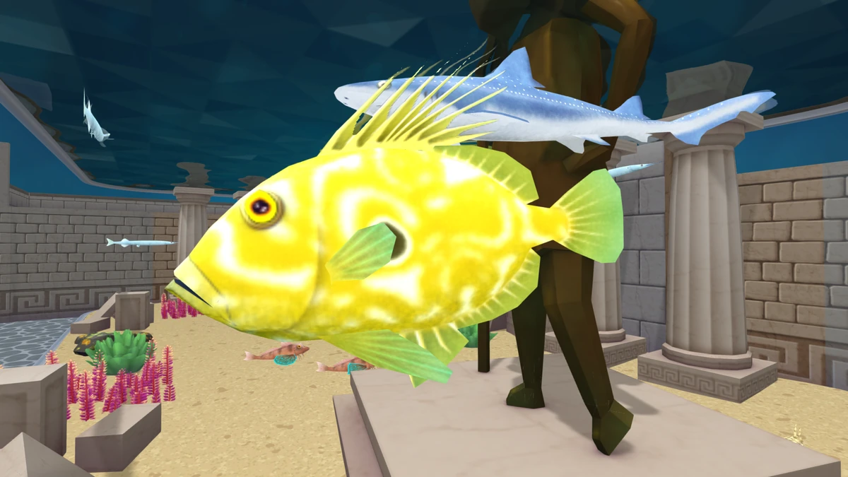 John Dory | Megaquarium Wiki | Fandom