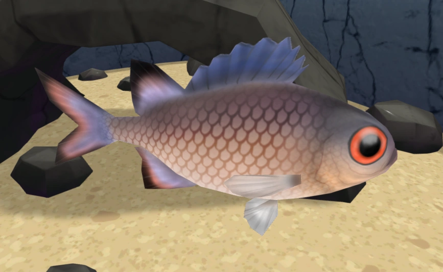 Shadowfin Soldierfish | Megaquarium Wiki | Fandom