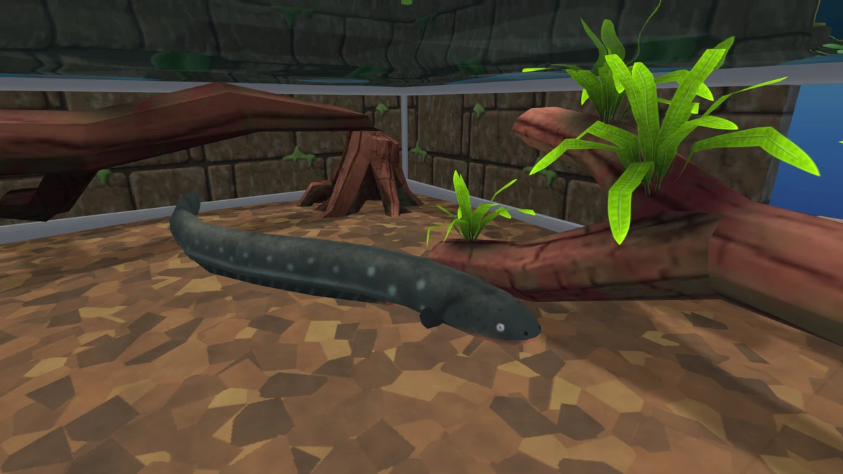 Electric Eel | Megaquarium Wiki | Fandom