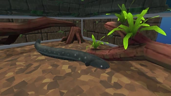 Electric Eel | Megaquarium Wiki | Fandom