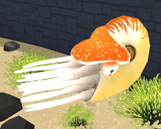 Allonautilus | Megaquarium Wiki | Fandom