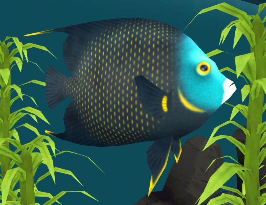 Category:Sponge Pellet Eaters | Megaquarium Wiki | Fandom