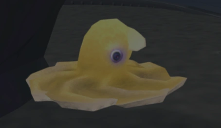 Dumbo Octopus | Megaquarium Wiki | Fandom