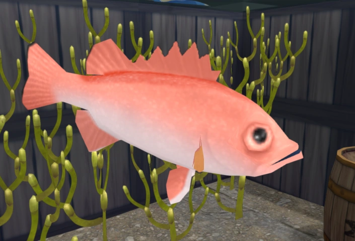 Rosy Seabass | Megaquarium Wiki | Fandom