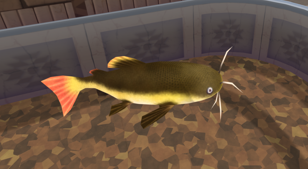 Redtail Catfish | Megaquarium Wiki | Fandom