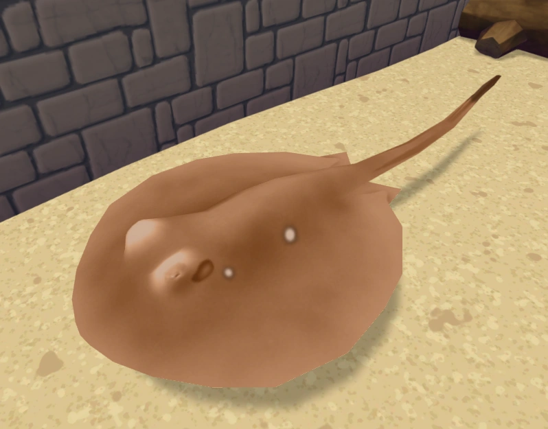 Sparsely-Spotted Stingaree | Megaquarium Wiki | Fandom