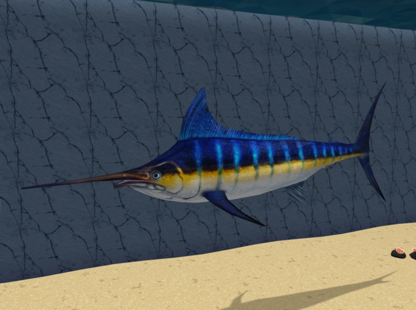 Blue Marlin (nightmare6445) | Megaquarium Wiki | Fandom