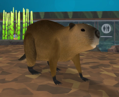 Nutria | Megaquarium Wiki | Fandom