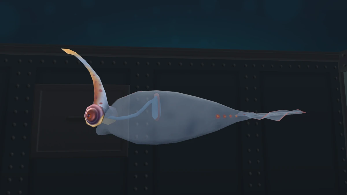 Peacock Squid | Megaquarium Wiki | Fandom