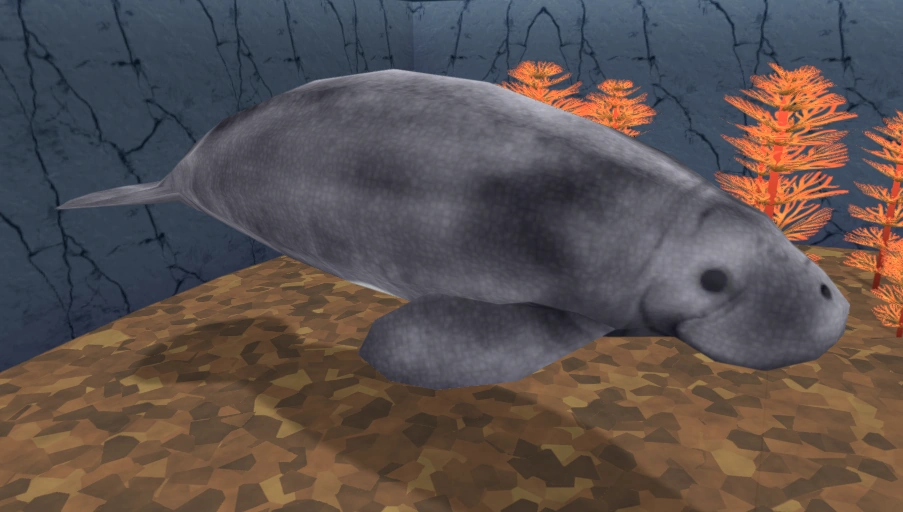 Amazonian Manatee | Megaquarium Wiki | Fandom