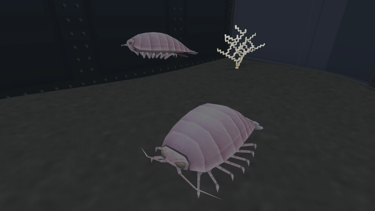 Giant Isopod | Megaquarium Wiki | Fandom
