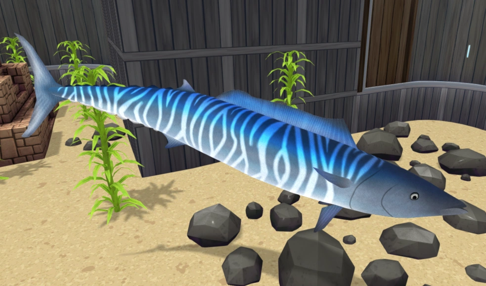 Wahoo | Megaquarium Wiki | Fandom