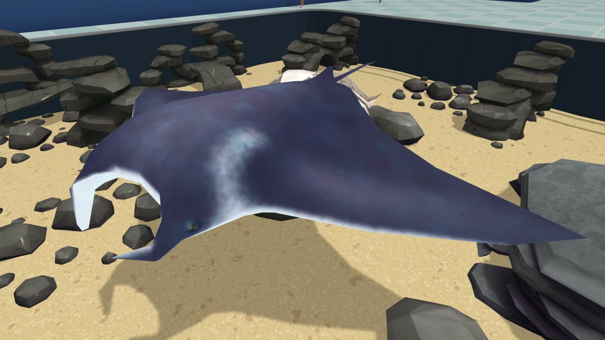 Manta Ray | Megaquarium Wiki | Fandom