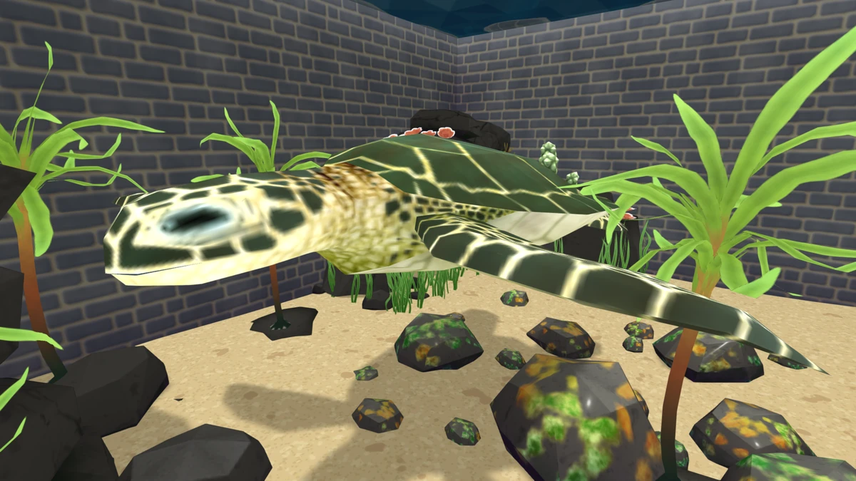 Category:Reptiles | Megaquarium Wiki | Fandom