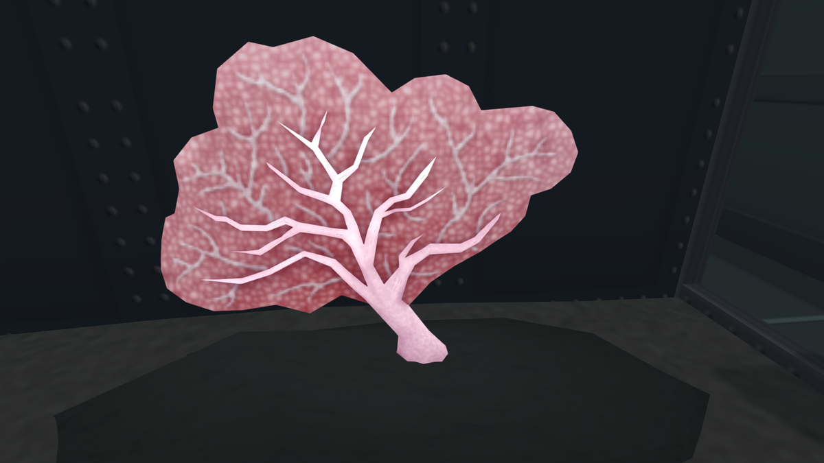 Bubblegum Coral Megaquarium Wiki Fandom