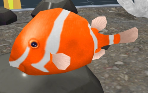 White-Barred Boxfish | Megaquarium Wiki | Fandom