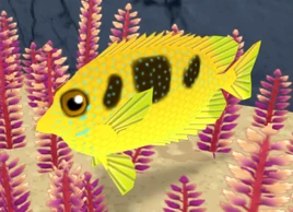 Threeblotched Rabbitfish | Megaquarium Wiki | Fandom