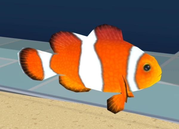 Clownfish | Megaquarium Wiki | Fandom