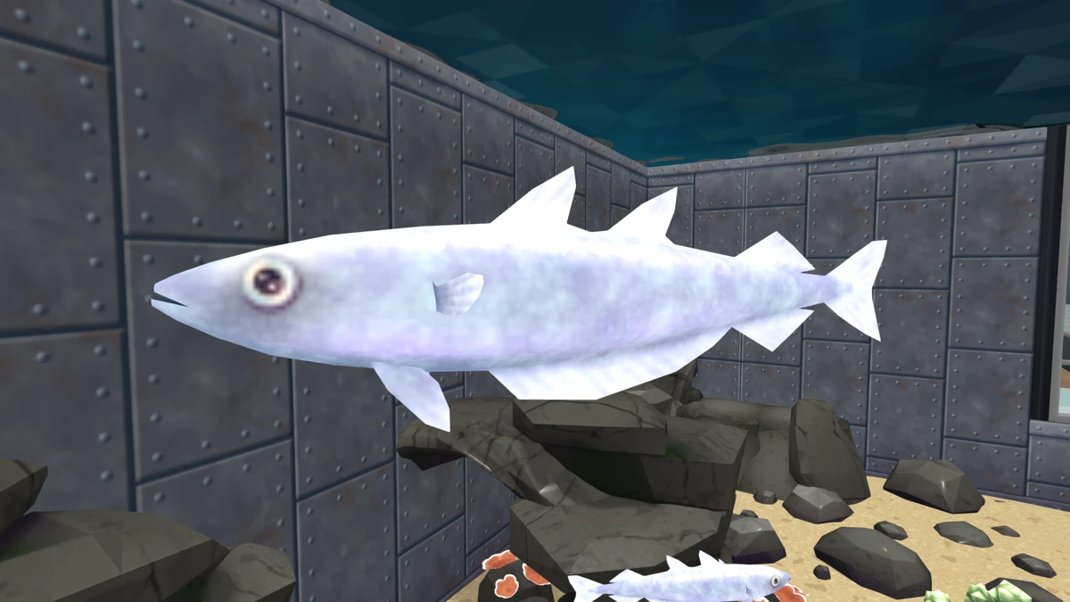 Blue Whiting | Megaquarium Wiki | Fandom