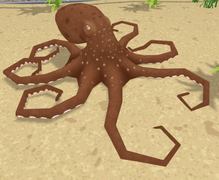 Maori Octopus | Megaquarium Wiki | Fandom
