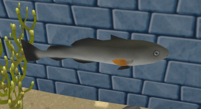 Saffron Cod | Megaquarium Wiki | Fandom