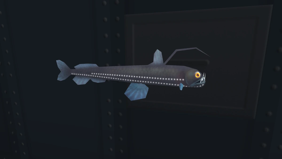 Pacific Viperfish | Megaquarium Wiki | Fandom
