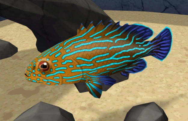 Blue Lined Grouper | Megaquarium Wiki | Fandom