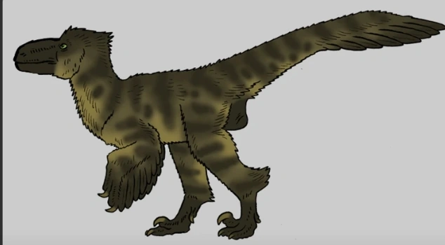 Americanoraptor luvis | Megaran Wiki | Fandom